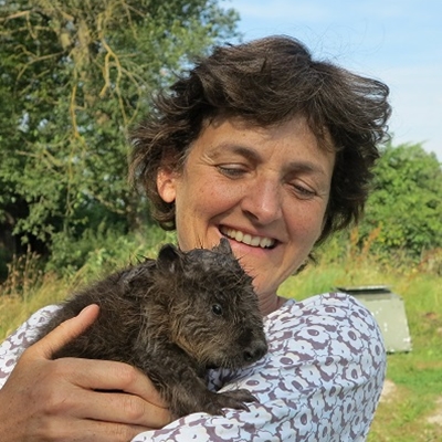 Isabella Tree talks to Rosie Boycott - Hay Festival - Hay Festival ...