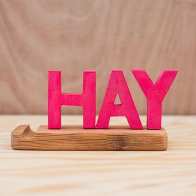 Hay Festival HAY Letters Phone Rest