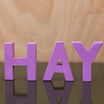Hay Festival HAY Letters